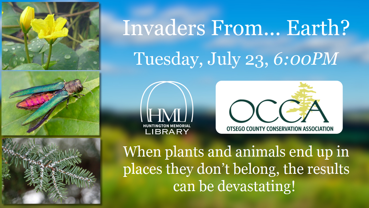 Adult Programs - Public Library | Oneonta, New York | Huntington ...